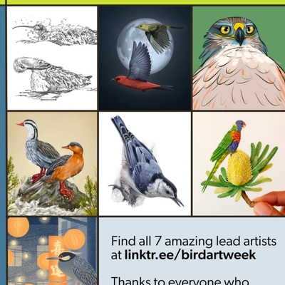 cornellbirds