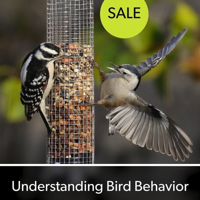 cornellbirds