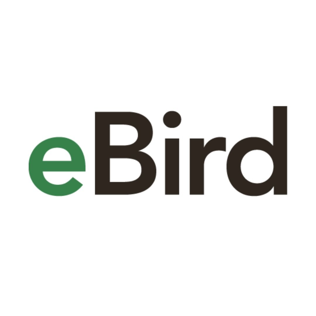 team_ebird